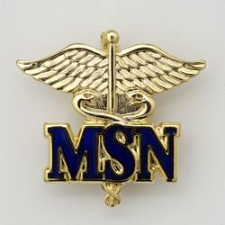 Master of science in nursing (MSN) | NursingSchoolsAlmanac.com